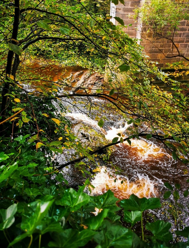 12 Hidden Gems in Edinburgh Even Locals Don't Know