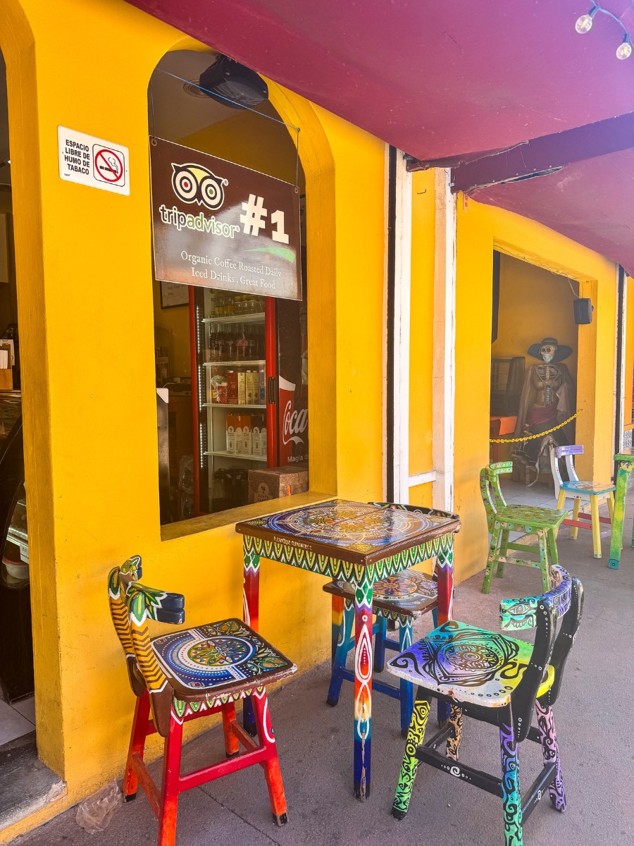 11 Unmissable Things To Do in Cozumel, the Riviera Maya's Prettiest Island