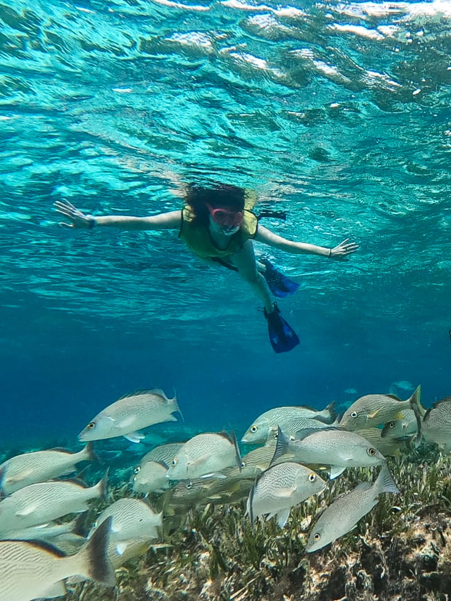 25 Photos of Cozumel That Prove It's The Most Beautiful Island in Mexico
