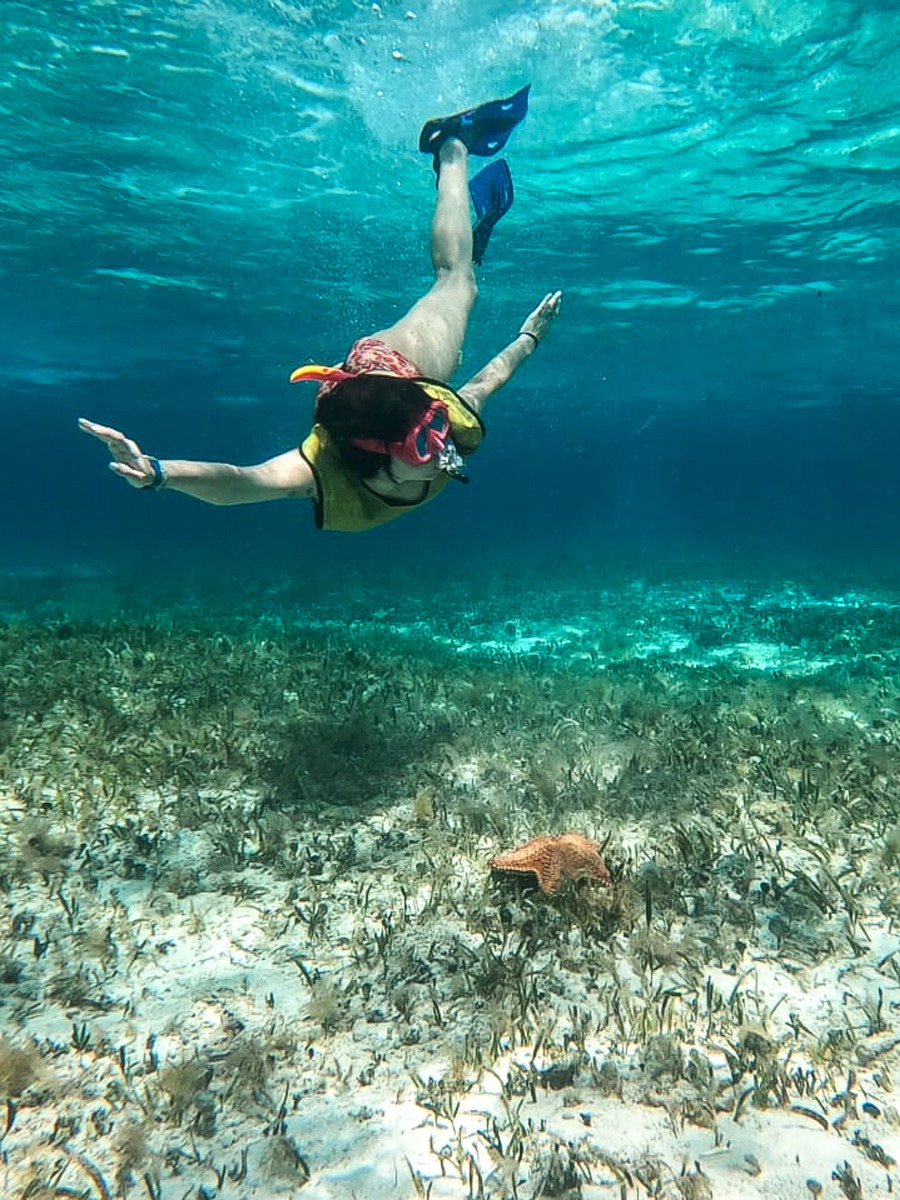 25 Photos of Cozumel That Prove It's The Most Beautiful Island in Mexico