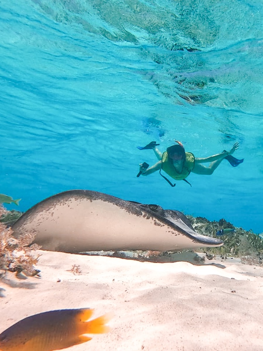 25 Photos of Cozumel That Prove It's The Most Beautiful Island in Mexico