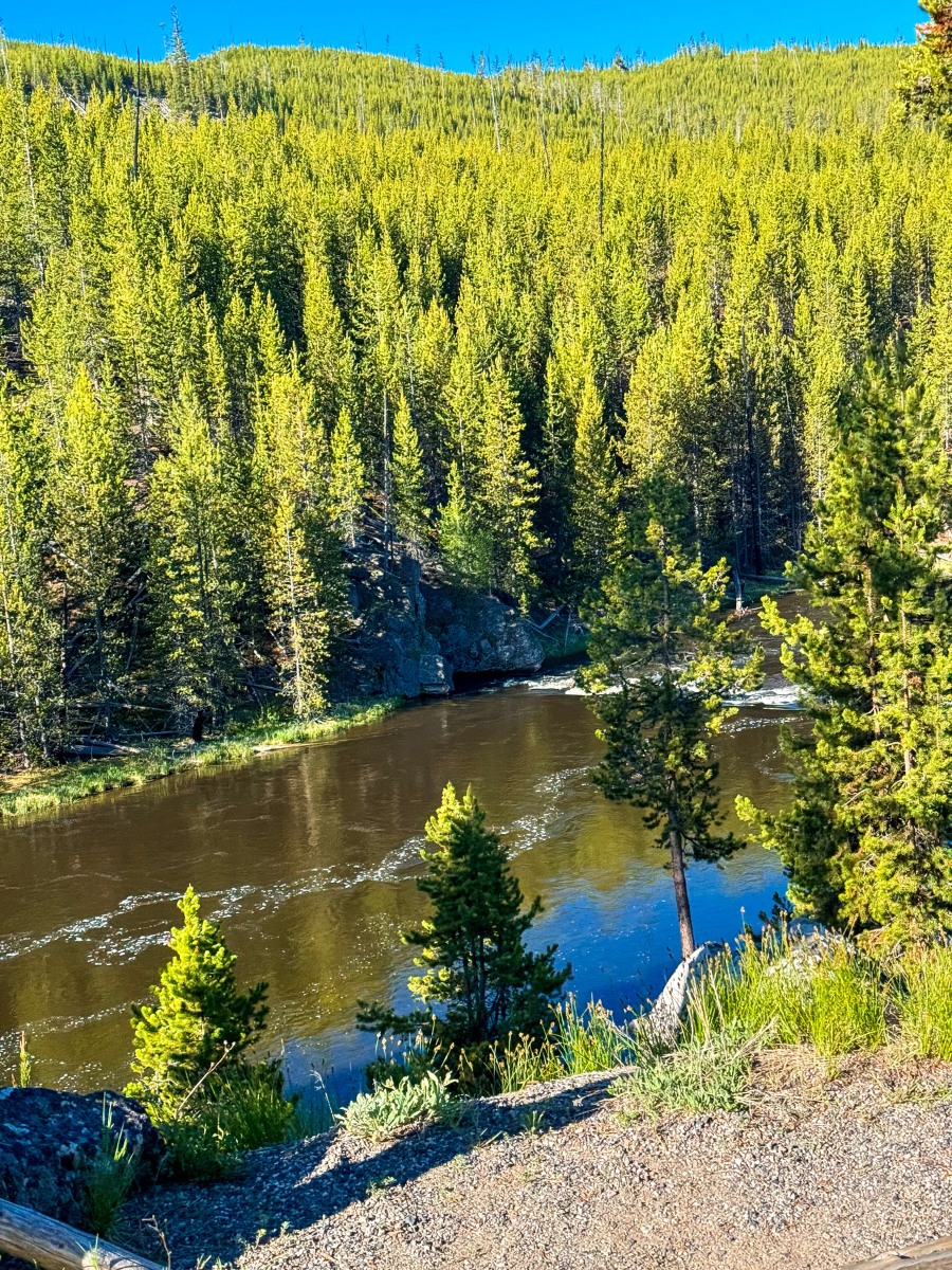 The Perfect 1-Day Yellowstone Lower Loop Itinerary from the West Entrance