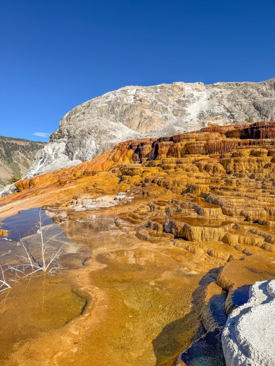13 Beautiful Places in Yellowstone National Park That You Must See Once ...