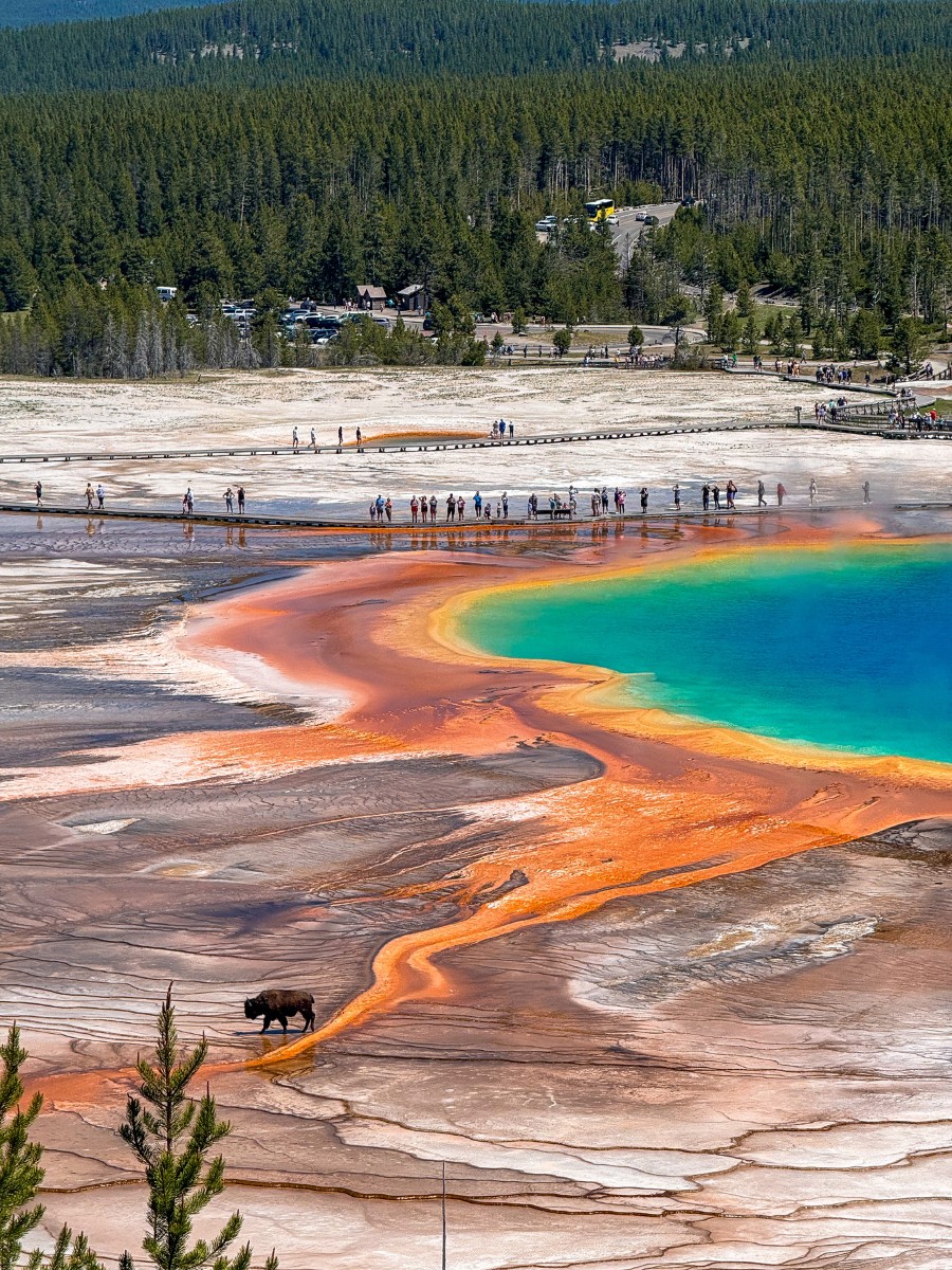 39 Photos of Yellowstone National Park That Will Make You Want To Visit