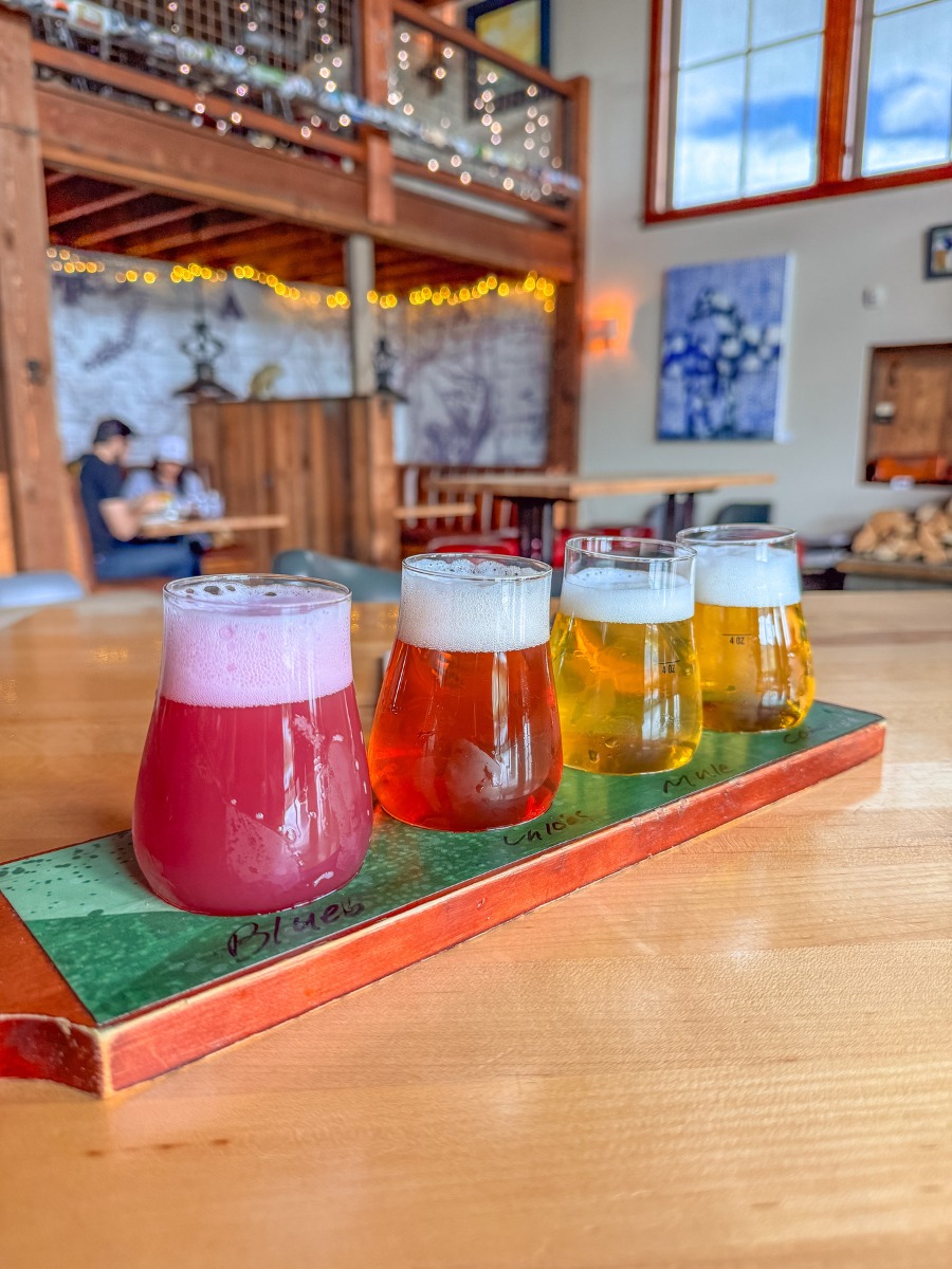 13 Amazing Things To Do in Bozeman, Montana, You Can't Miss