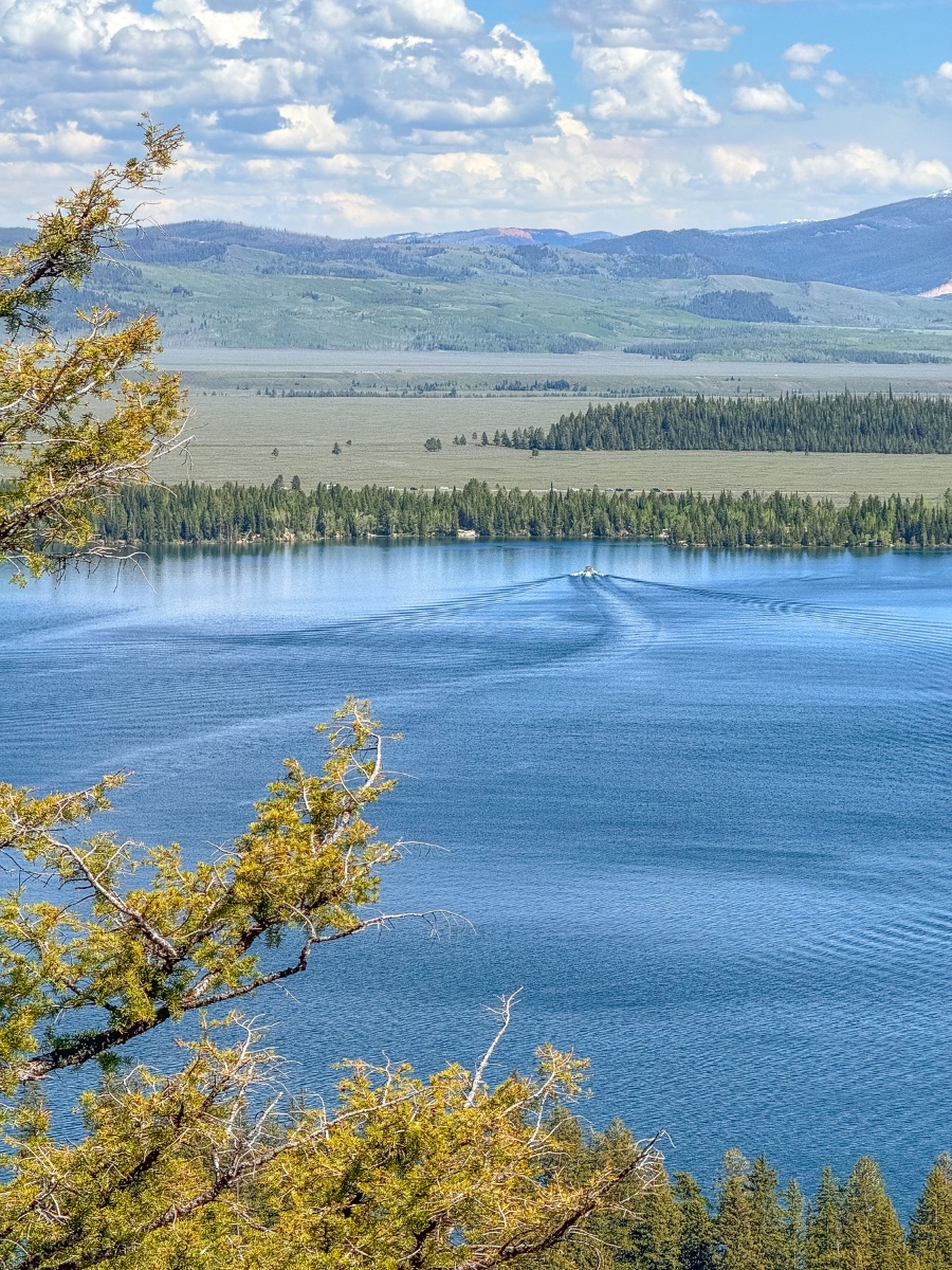 The Perfect Grand Teton National Park 1-Day Itinerary
